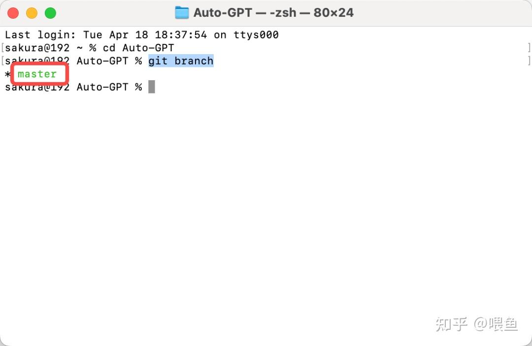 5000字详解AutoGPT原理&保姆级安装教程 - 知乎