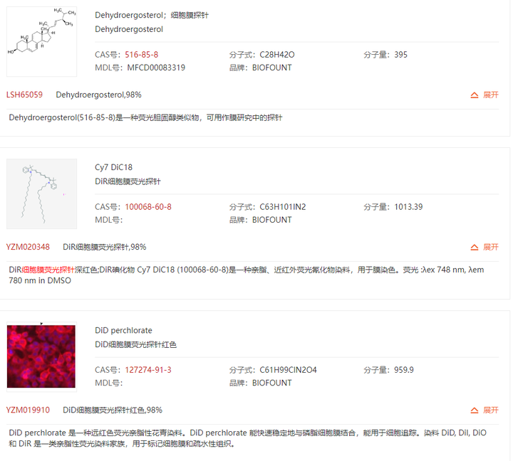 细胞膜荧光探针——biofount - 知乎