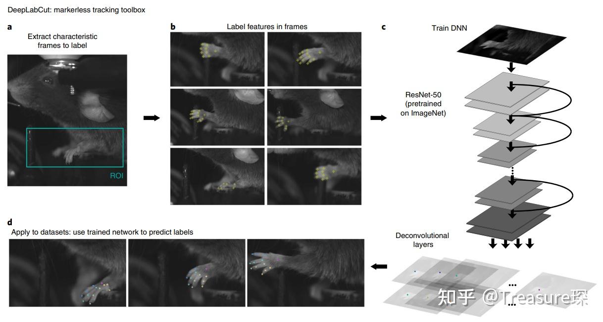 国内外有哪些不错的AI4Science的组或实验室？ - 知乎