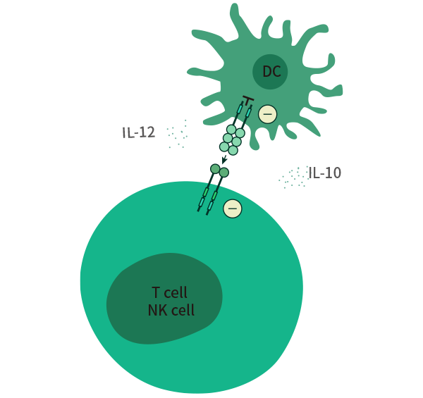 目前 靶向 TIGIT 药物在研现状是什么？ - 知乎
