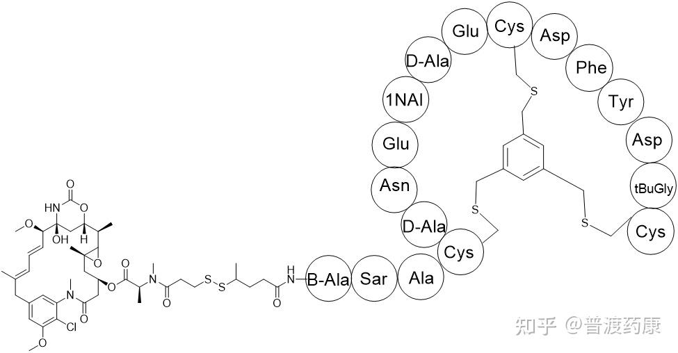 PDC药物研究最新进展 - 知乎