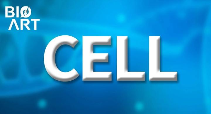 Cell | 空间生物学揭示肿瘤微环境组织分布特征与肿瘤免疫反应的关系 - 知乎