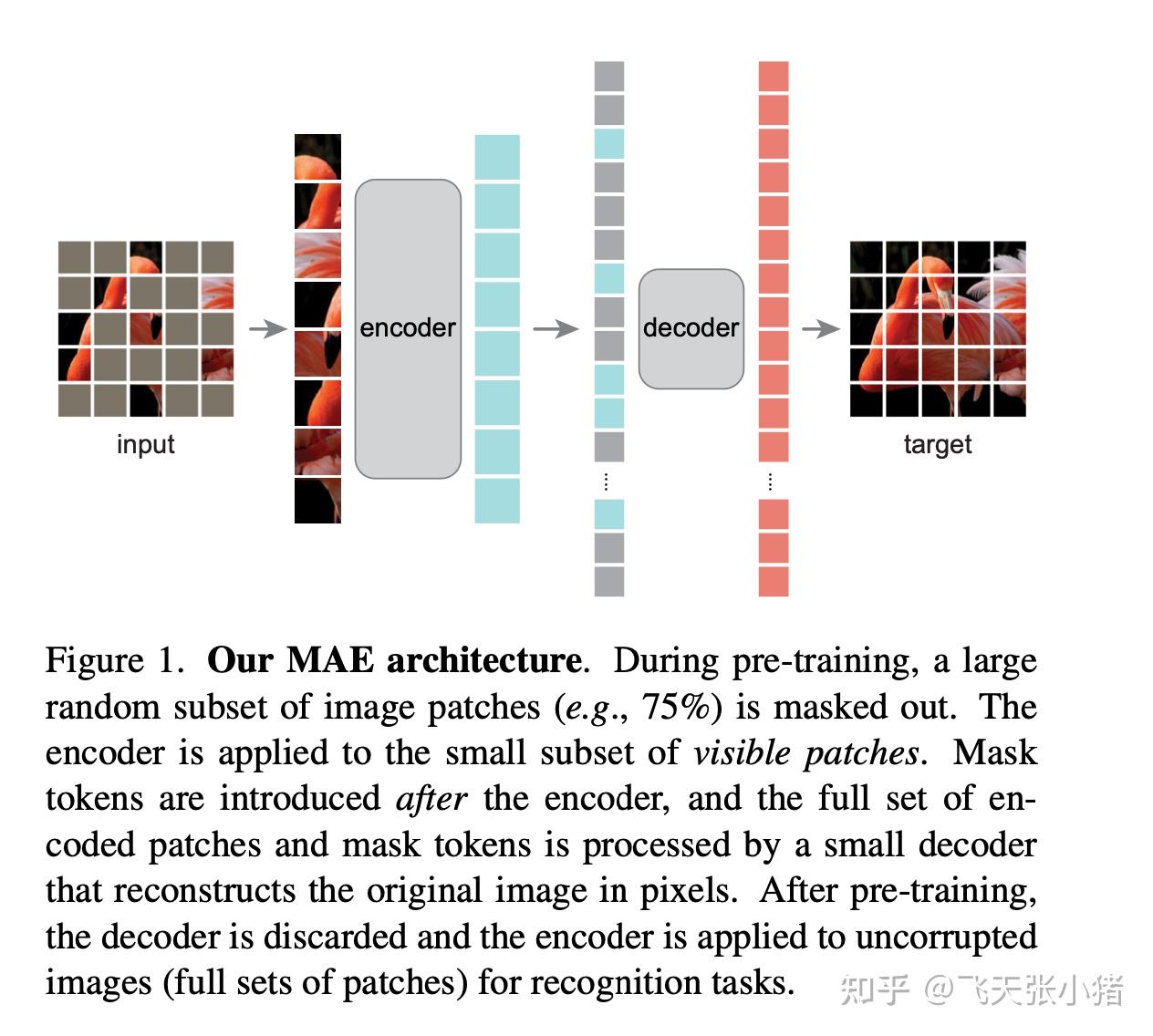 MAE： Masked Autoencoders are scalable vision learners - 知乎