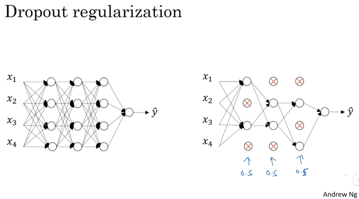 Dropout regularization - 知乎
