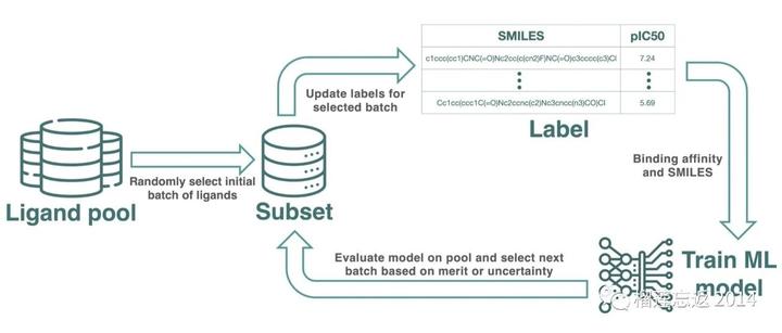 Active Learning 主动学习在蛋白-配体亲和力预测中的基准测试 - 知乎