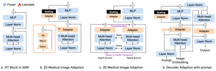 医学SAM适配器：为医学图像分割调整分割一切模型 - 知乎
