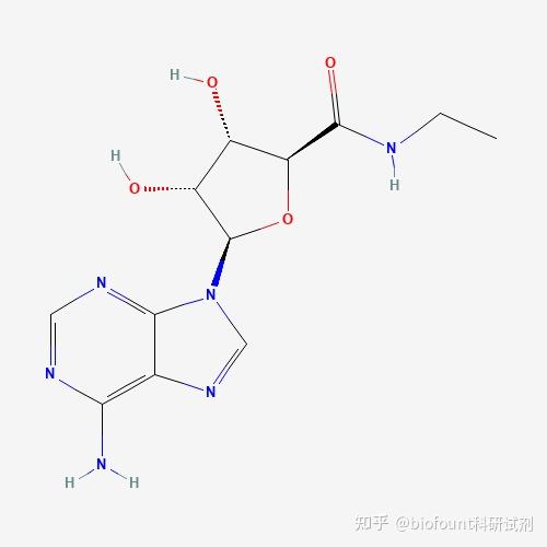 NECA；腺苷激动剂 - 知乎