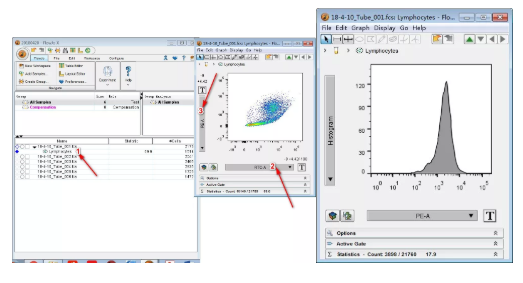 flowjo数据处理过程？ - 知乎