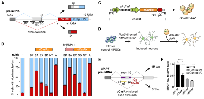 RNA编辑技术CRISPR/Cas13系统有什么特点？ - 知乎