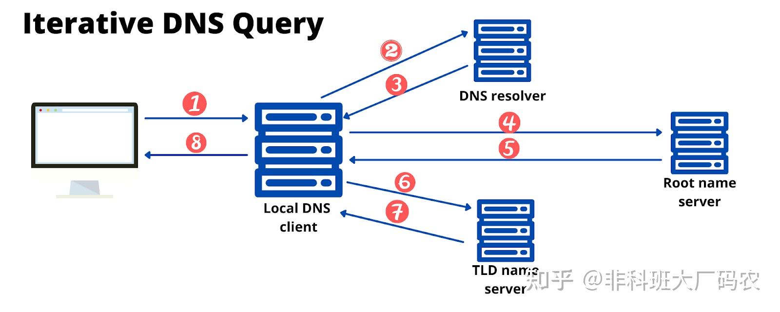 协议森林 | 图解DNS：从域名到IP地址的全过程 - 知乎