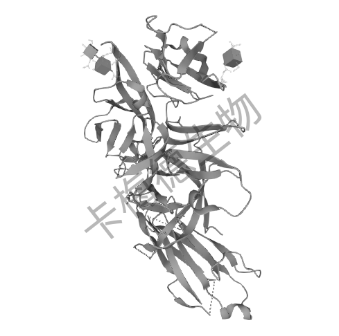 生长刺激表达基因2蛋白（ST2）介绍 - 知乎