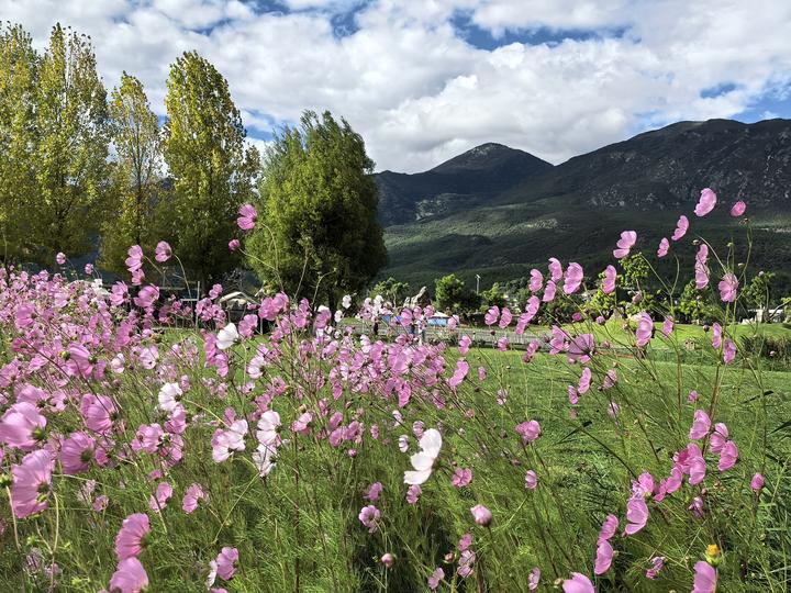 王万俊：行政规范性文件备案审查的缘起和发展 - 知乎