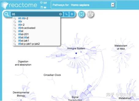 联川生物转录组特色数据库——Reactome数据库 - 知乎