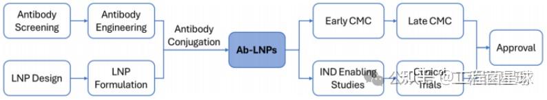 Sanofi最新综述|抗体偶联LNP(Ab-LNP)的CMC产业化考量(1)-化学偶联方法与制备 - 知乎