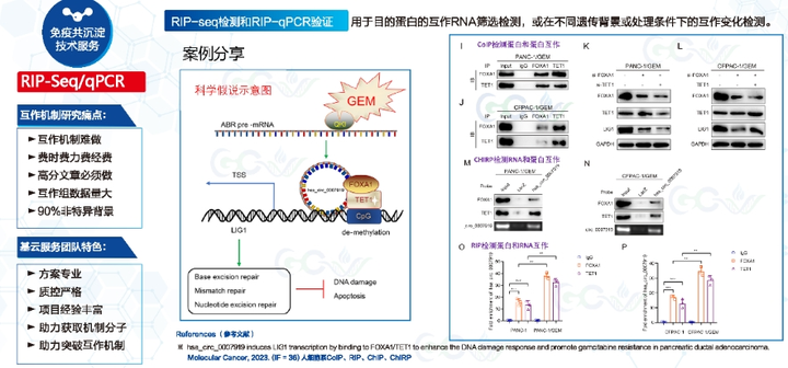 RIP-Seq实验检测技术服务 - 知乎