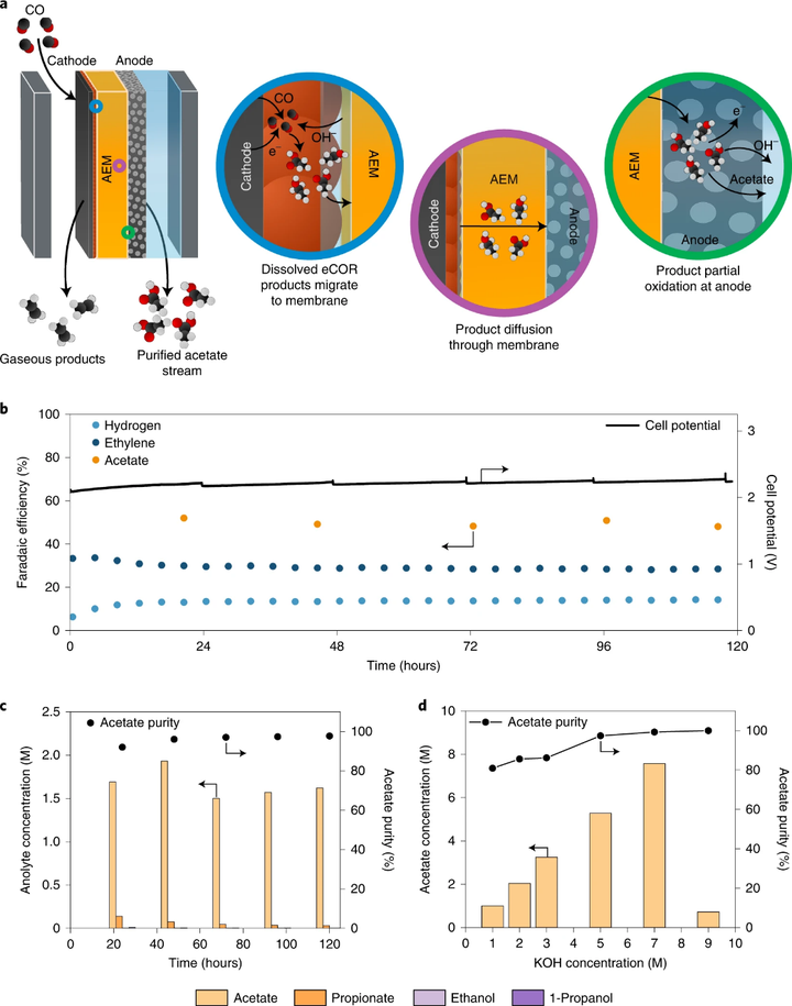 电催化今日Nature Catalysis，直接生成高浓度乙酸 - 知乎