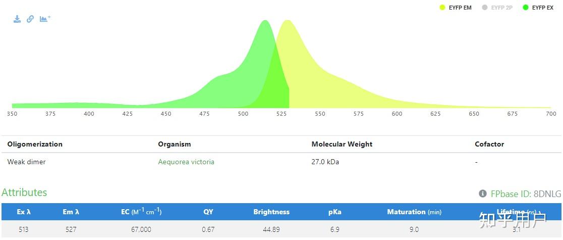 EYFP为什么发绿光？ - 知乎