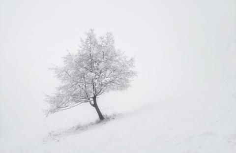 Palabos Tutorial阅读笔记 - 知乎