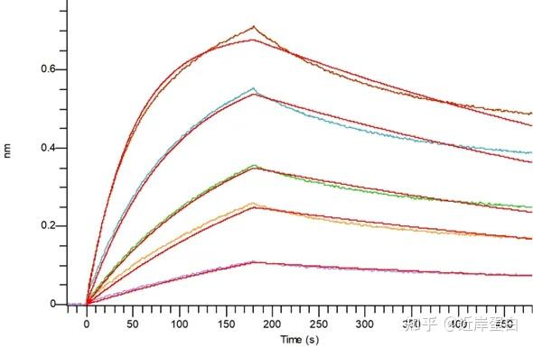 全长5次跨膜蛋白CD133--经典的肿瘤干细胞标志物 - 知乎
