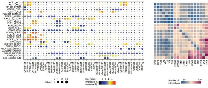 scRNA分析 | 解决可能的报错，从0开始教你完成细胞通讯分析-cellphoneDB - 知乎