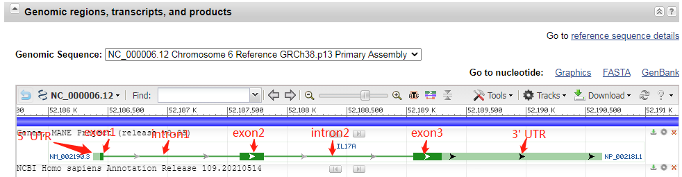 教你怎么查基因启动子和转录因子结合位点 - 知乎