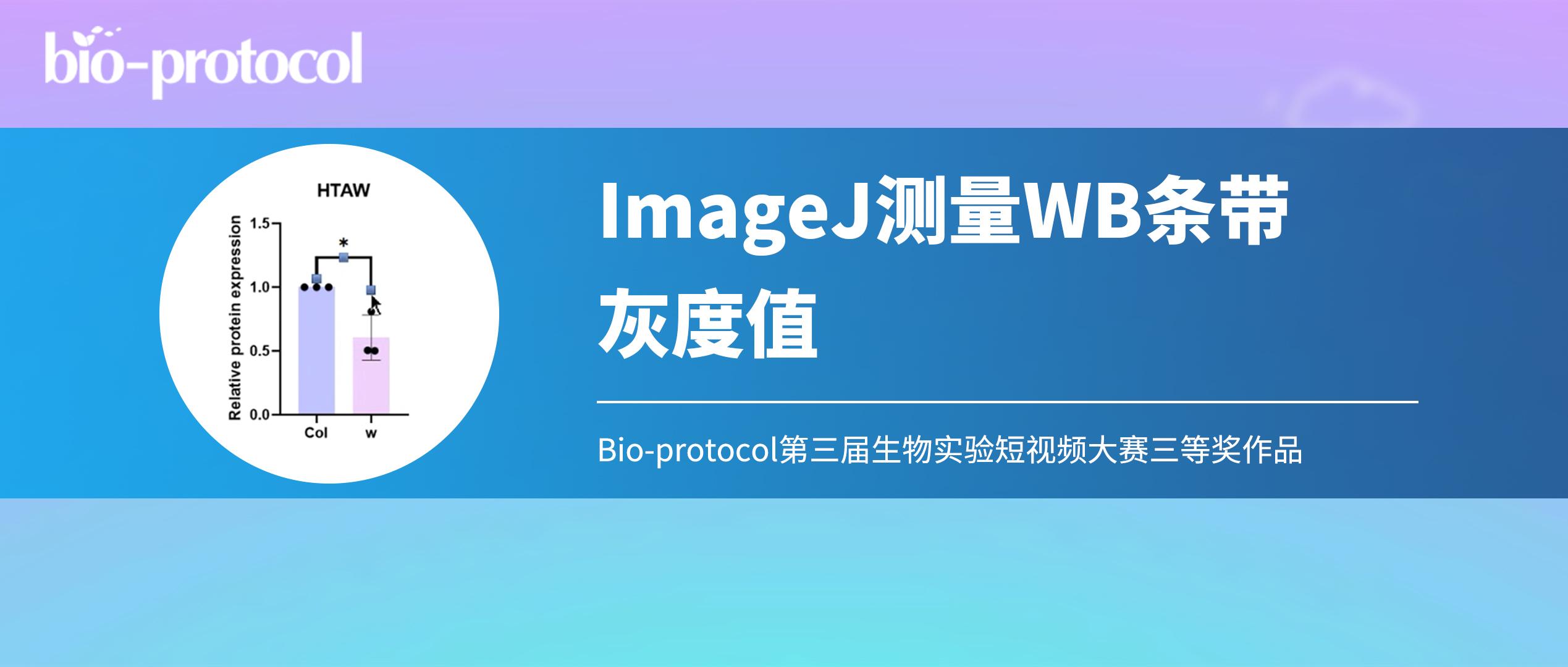imageJ测wb条带的灰度值要去背景吗？ - 知乎