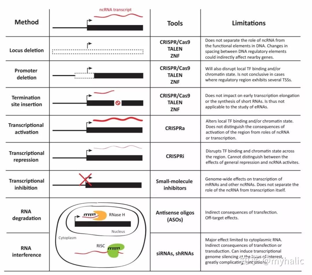 lncRNA CRISPR文库筛选技术 - 知乎