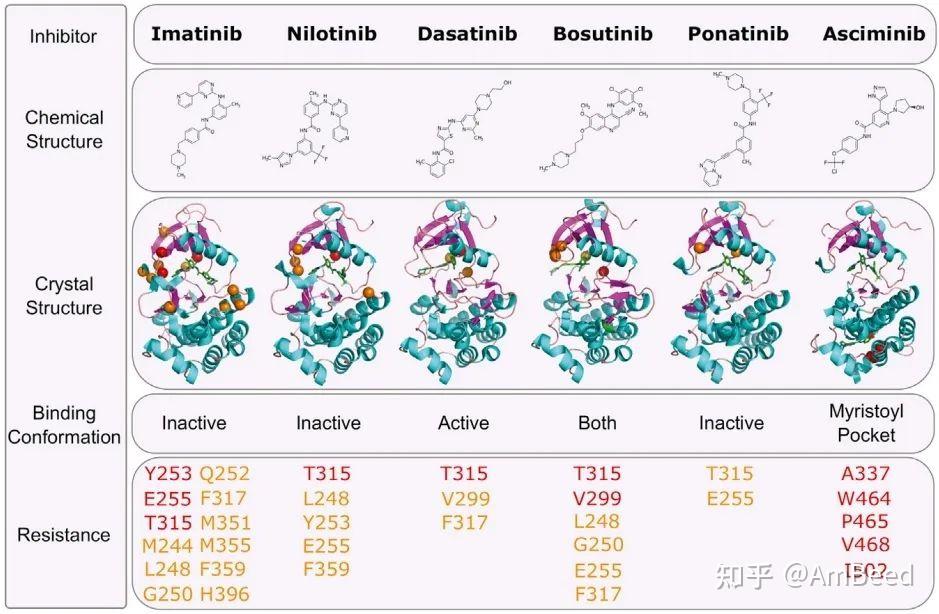【AmBeed解读】BCR-ABL1结构及其抑制剂 - 知乎