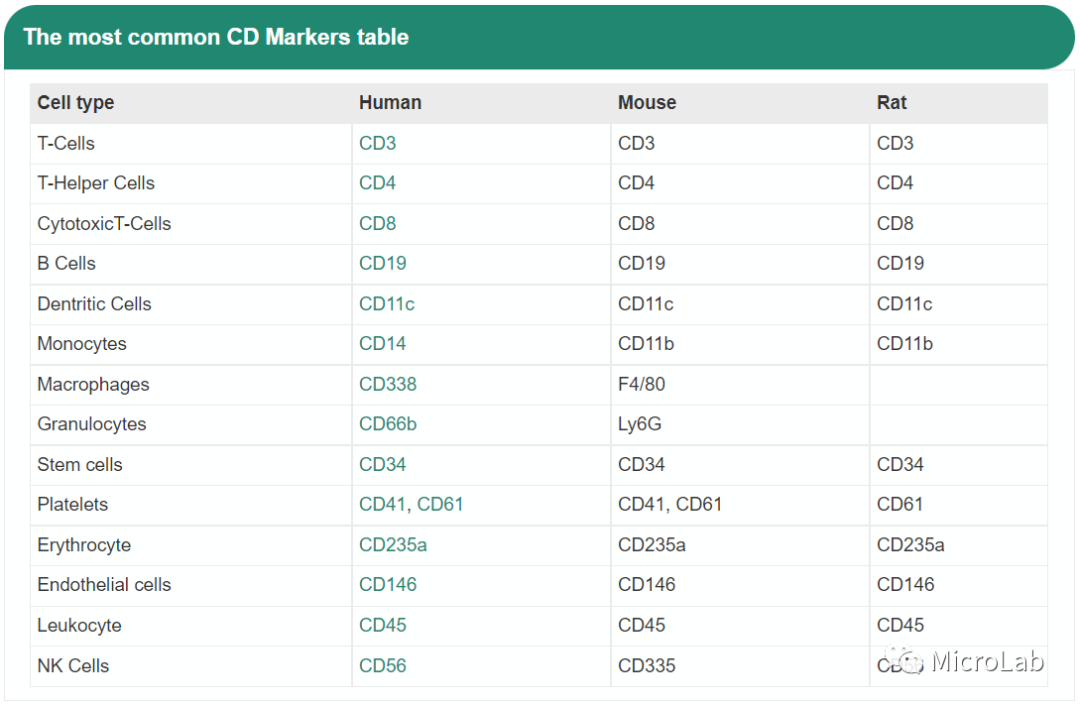考点笔记丨MHC、HLA、CD分子 - 知乎