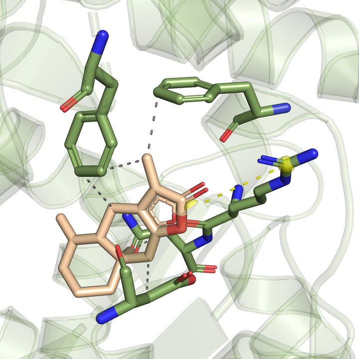 pymol作对接图第2版（3min快速做图） - 知乎