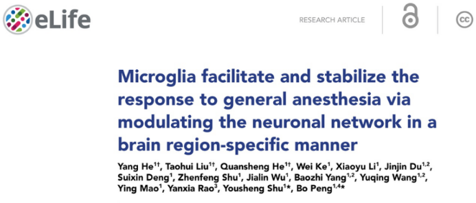 eLife | 彭勃和舒友生团队揭示小胶质细胞对麻醉诱导和觉醒过程的调控作用及其机制 - 知乎