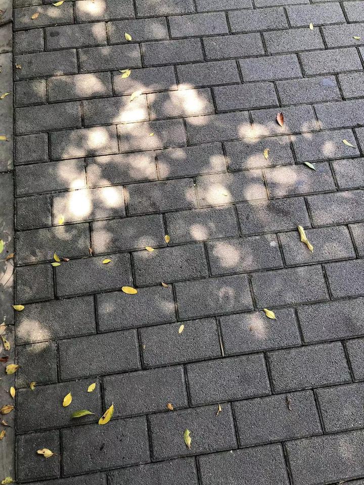 please delete me - 知乎