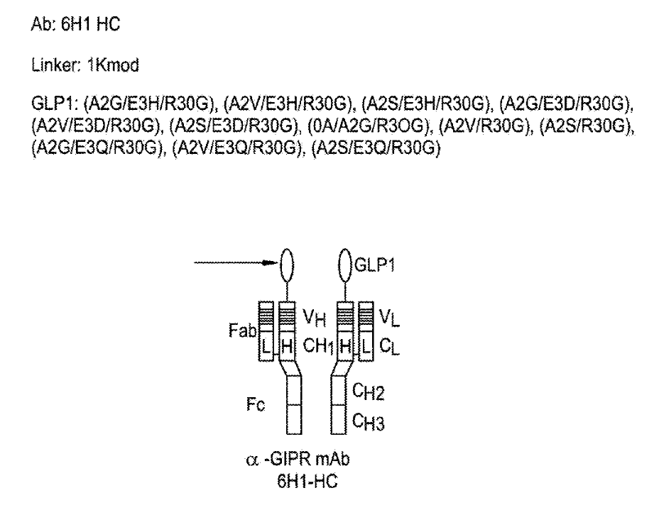 安进减肥管线 AMG 133 进化史 - 知乎
