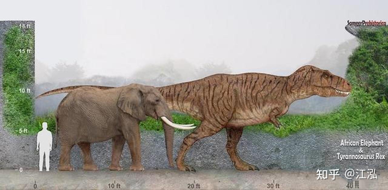 历史上存在很多体型更大更残暴的肉食恐龙，为什么霸王龙最出名？ - 知乎