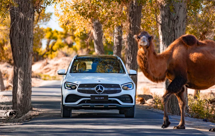 千里长测奔驰新款GLC L，终于搞懂它为啥能力压X3和Q5L - 知乎