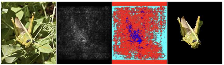 显著图：Saliency Map 详解 - 知乎