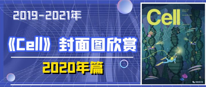 科学与艺术的结合！《CELL》100+张期刊封面鉴赏｜2020年篇 - 知乎