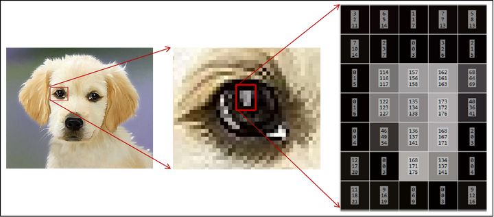 JPEG图像压缩详解和代码实现 - 知乎