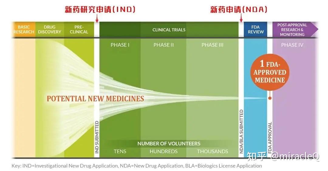 药物审批IND/NDA/BLA流程 - 知乎