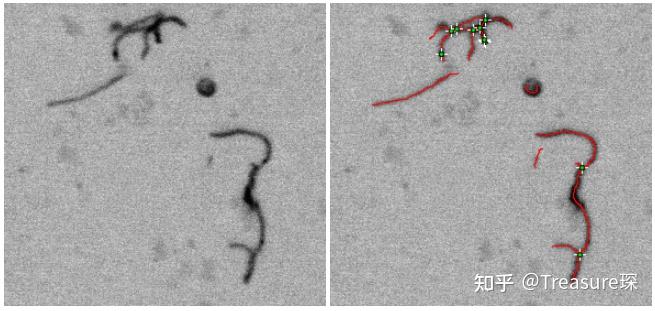 ImageJ实用教程——自动物体角度测量(解放双手篇) - 知乎