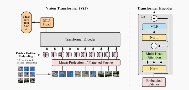 极智AI | 变形金刚大家族 Transformer ViT CLIP BLIP BERT 模型结构 - 知乎