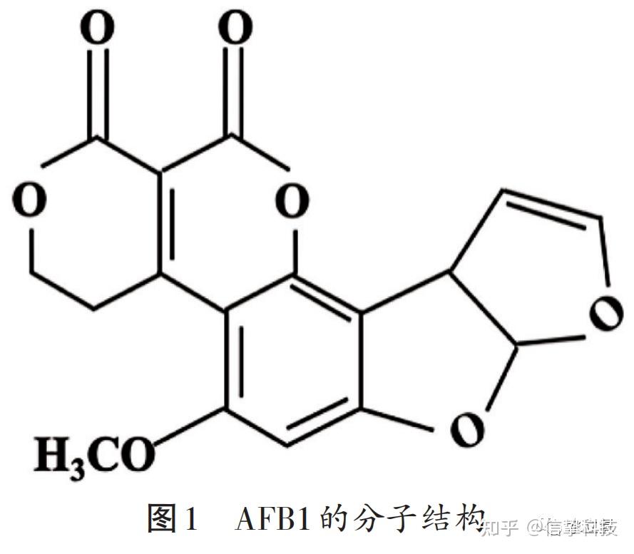 富氢水减轻「黄曲霉毒素b1」的肝损伤研究 - 知乎