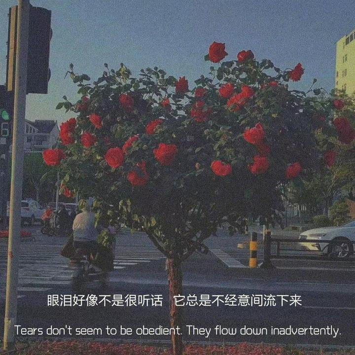 暗示自己不开心的文案 知乎
