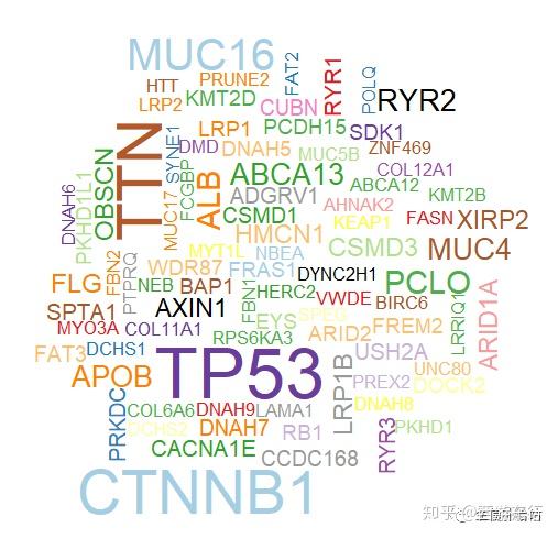 maftools|TCGA肿瘤突变数据的汇总，分析和可视化 - 知乎