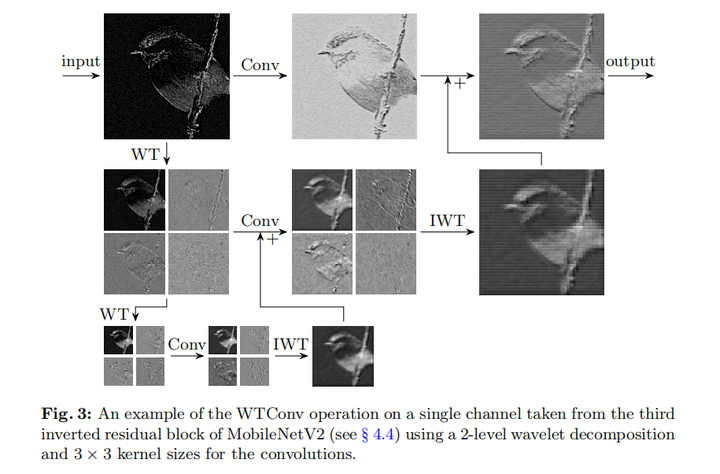 (即插即用模块-Convolution部分) 十七、(2024 ECCV) WTConv 小波变换卷积 - 知乎