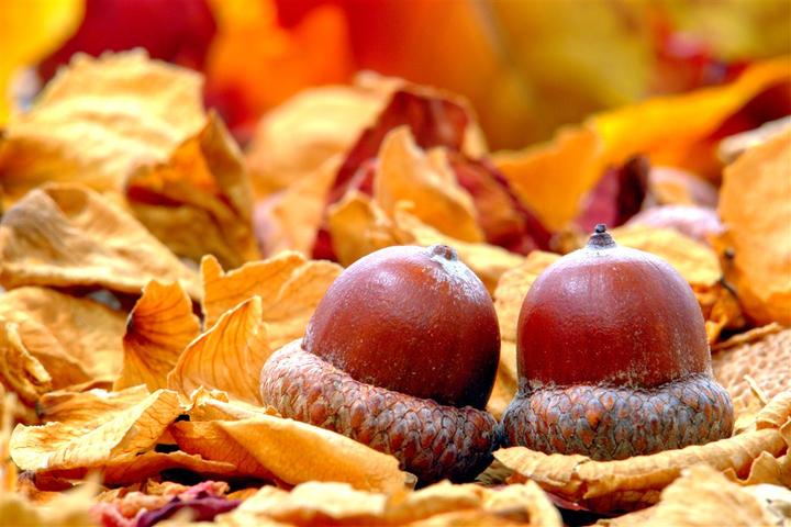 搜了SOOLE是个什么平台？ - 知乎