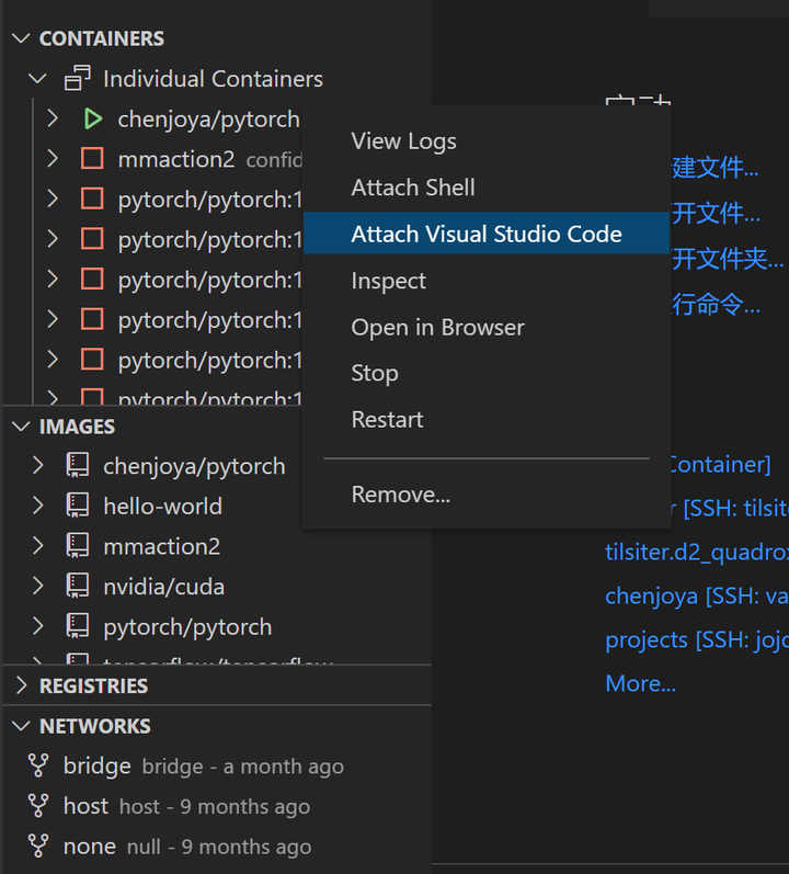 VS Code + Remote Docker 一种简单的深度学习炼丹环境 - 知乎
