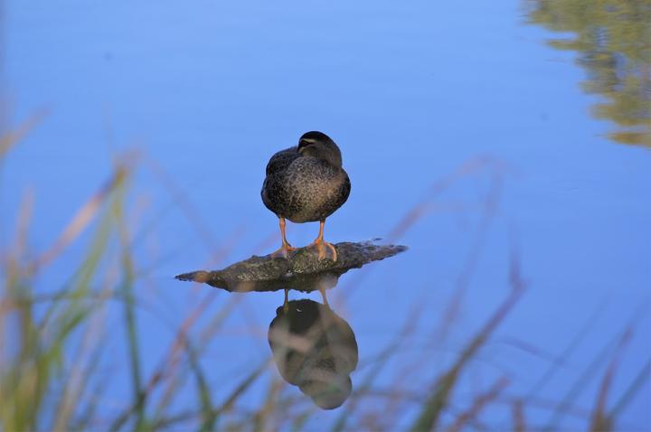 latex 如何多行注释/块注释 multi-line /block comments? - 知乎