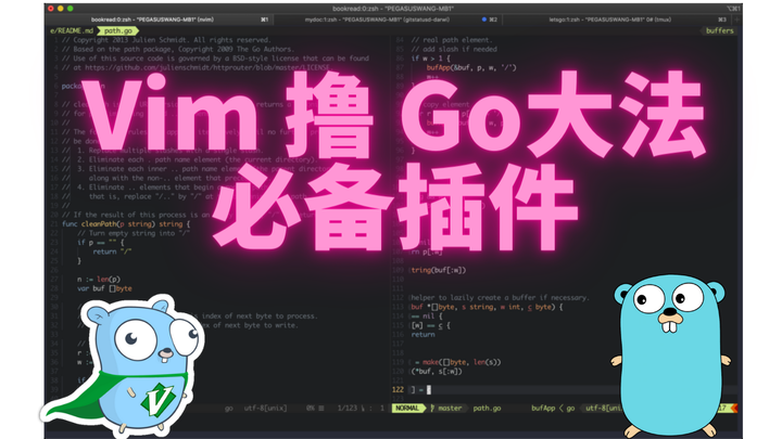 Vim 撸 golang 必备的几个插件[视频] - 知乎