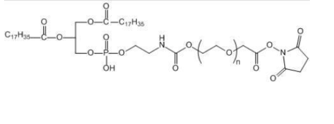 DMPC-PEG-cRGDfk/NGR/RGDC/RGDS/iRGD/TAT/环肽/穿膜肽 磷脂-聚乙二醇-多肽 - 知乎